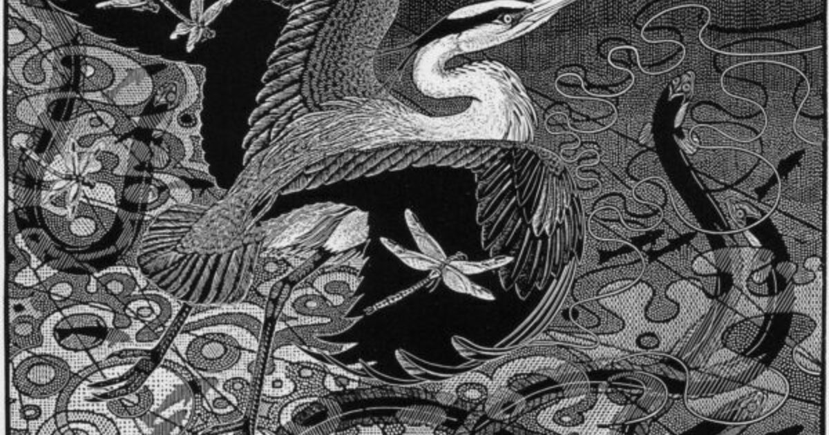 RCA Conwy | COLIN SEE-PAYNTON