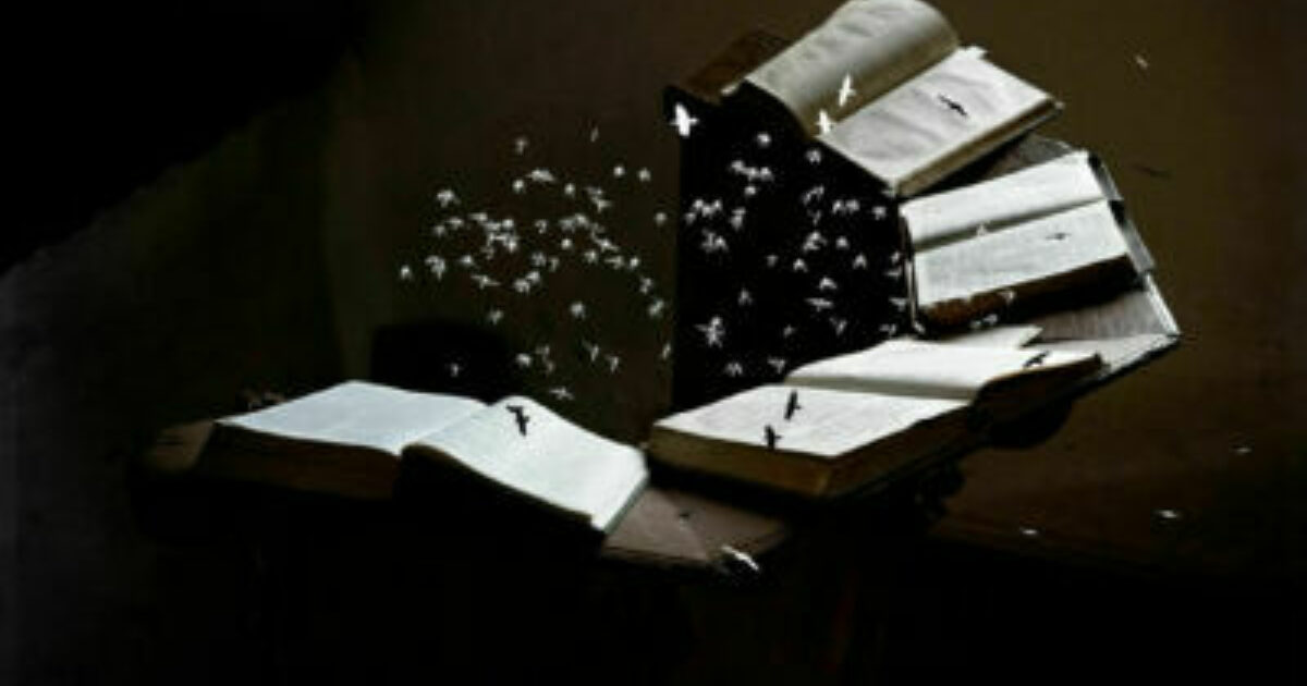 RCA Conwy | Paper After All