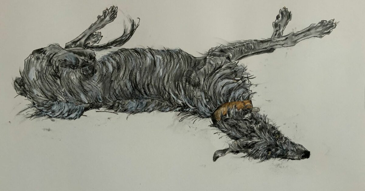 RCA Conwy | SALLY MATTHEWS RCA: FROM THE STUDIO