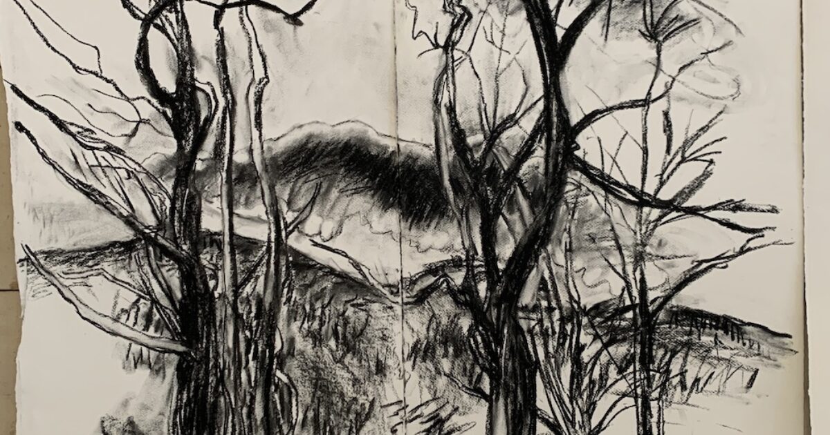 RCA Conwy | STEPHEN WEST